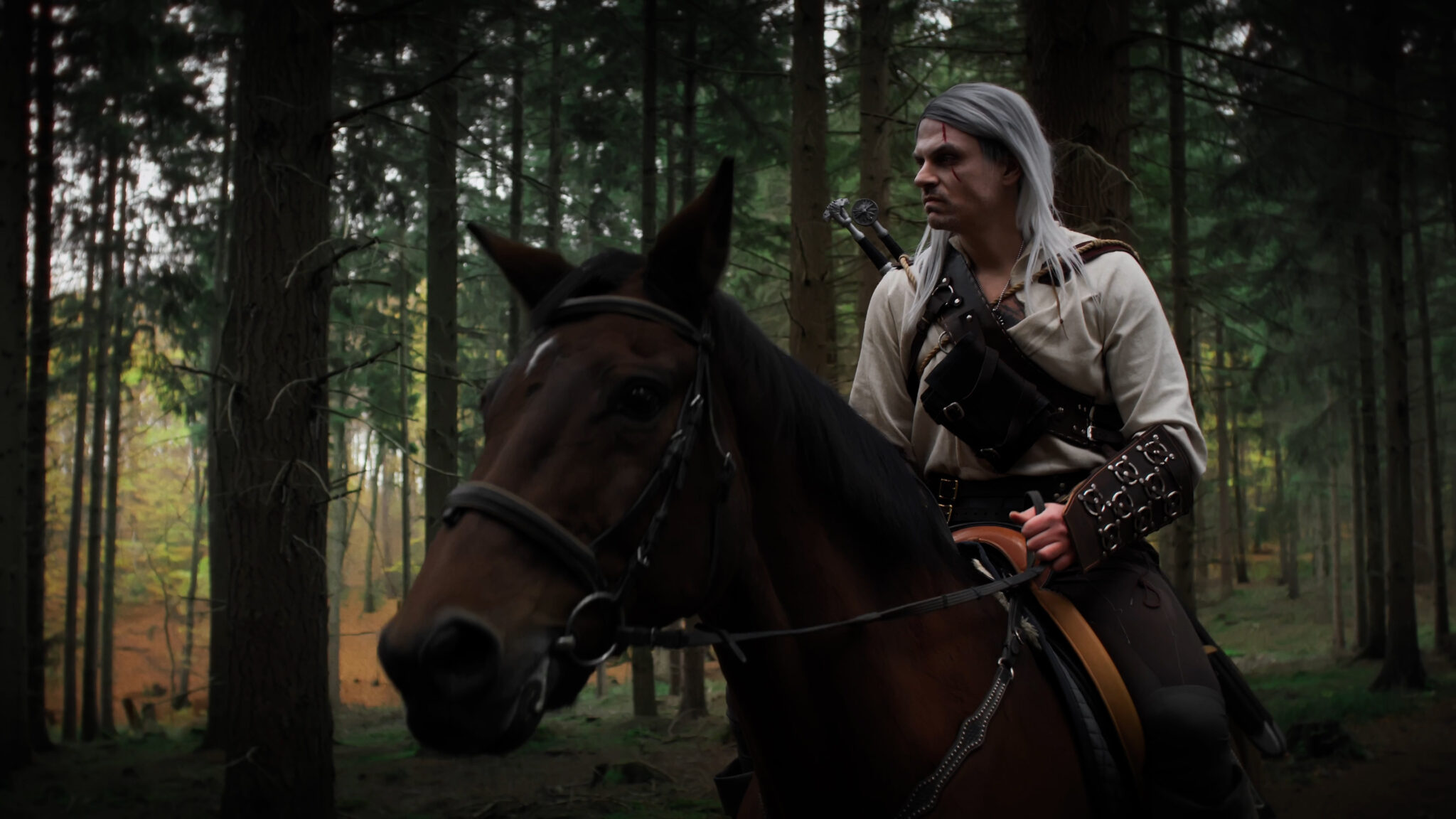 The Witcher 3: Wild Hunt – The Story So Far – CreativeMod